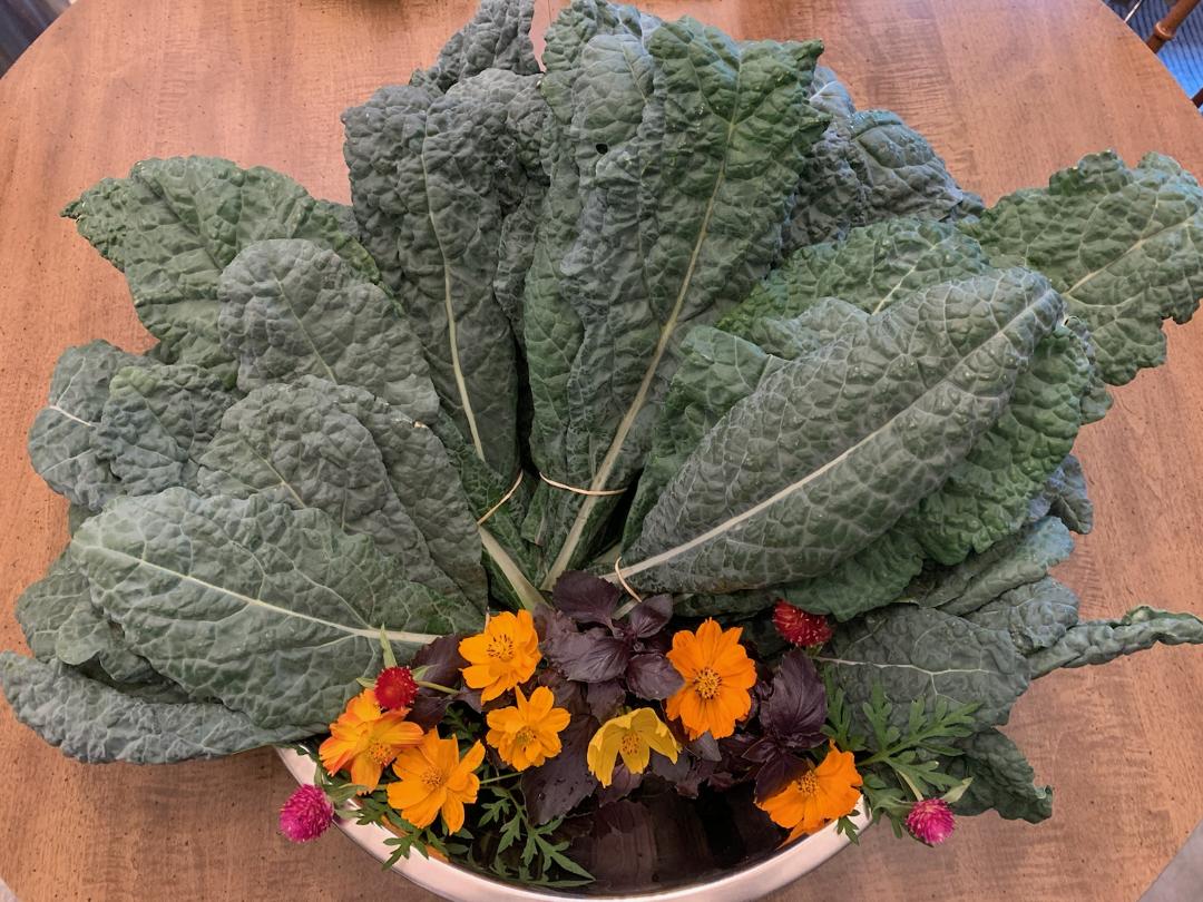 Locally Grown! – gregoryjoel.com